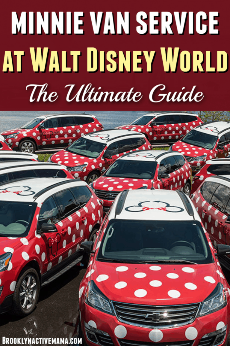 Minnie Van Service at Walt Disney World: What You Need to Know