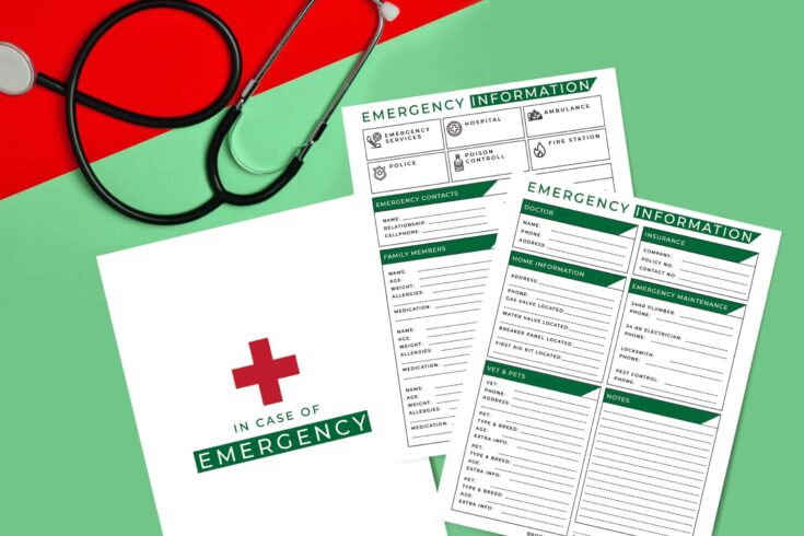 In Case Of An Emergency - Free Preparedness Printable - Brooklyn Active ...