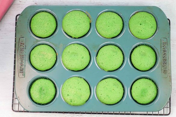 The Cutest Watermelon Cupcakes For Summer Parties