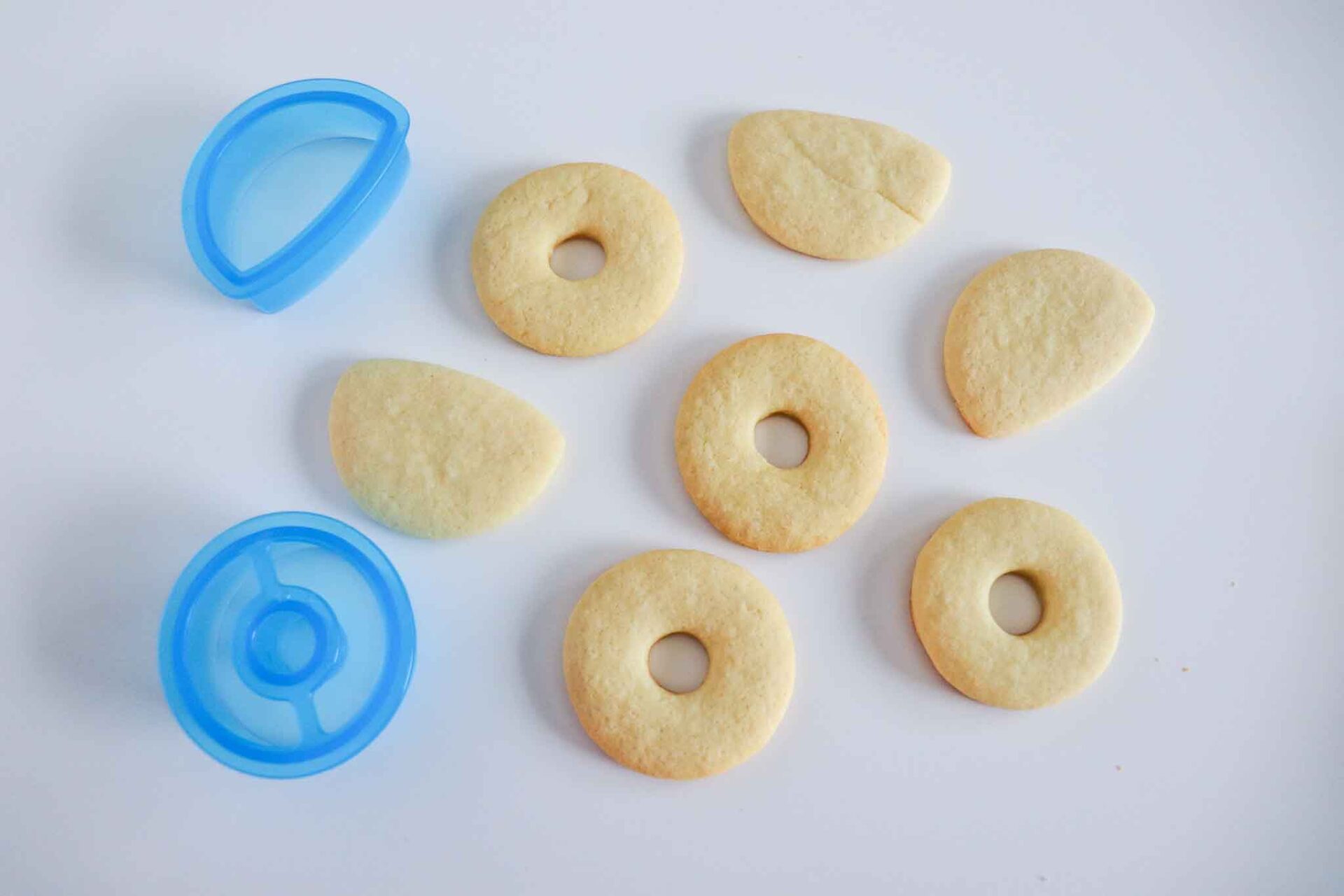 Shark Week Sugar Cookies