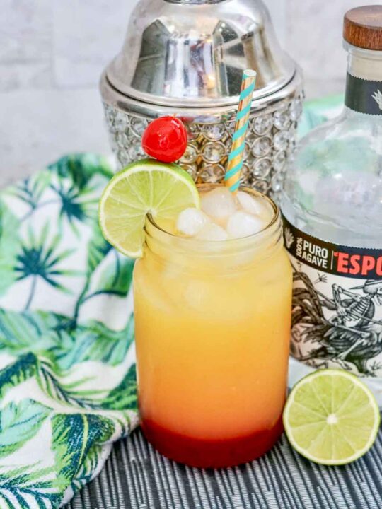 Easy Mexican Sunset Cocktail-01 - Brooklyn Active Mama