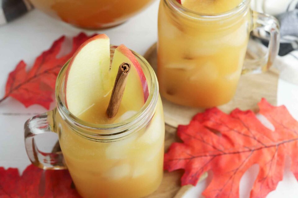 Easy Apple Cider Thanksgiving Punch